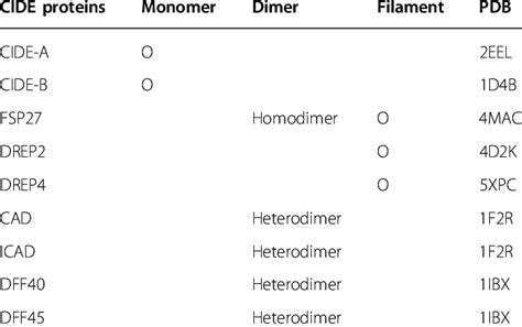 Structures Of Various Forms Of Cide Domain Download Scientific Diagram Structures Of Various Forms Of Cide Domain Download Scientific Diagram