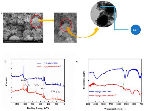 a multifunctional magnetic fluorescent nanoprobe for copper ii using