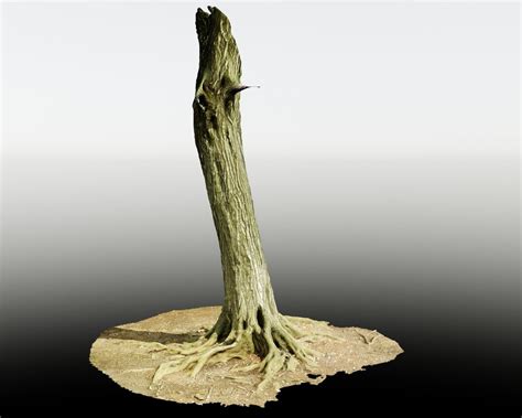 Wood Scan Asset 5 3d Model Cgtrader