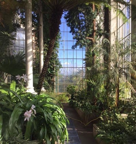 FUCK YEAH GREENHOUSES