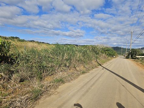 桃里知る人ぞ知る石垣島の絶景ノバレザキに希少な農地出ました 太平洋に浮かぶ奇跡のサンライズ後方にはダイナミックな山々は正に