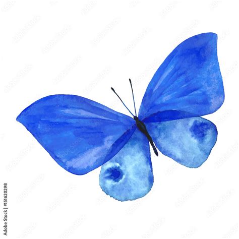 Blue Butterfly Drawing