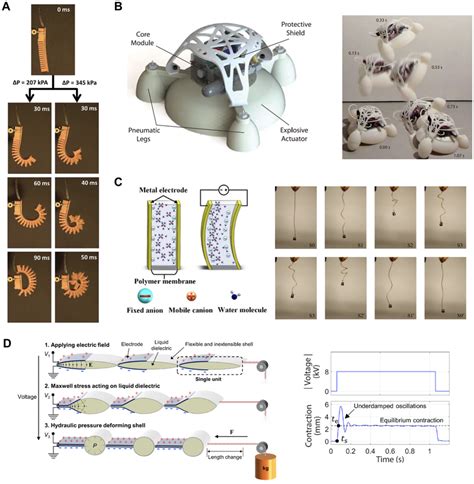 selected examples of soft robotic actuators a pneumatic soft