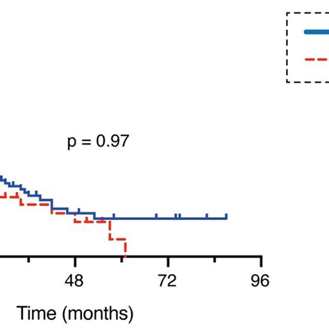 Kaplan Meier Survival Analysis Dependent On Synchronous Vs Download Scientific Diagram