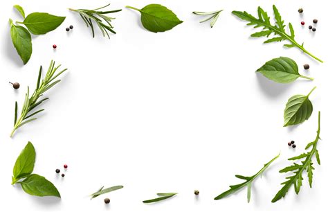 Frame Border Png Food Design Element Spices And Herbs With Real
