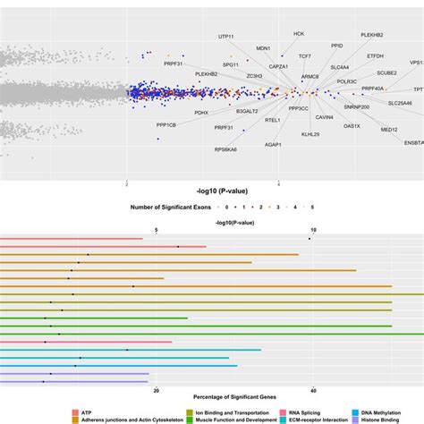 Differential Exon Usage And Functional Characterization A Volcano Plot Download Scientific