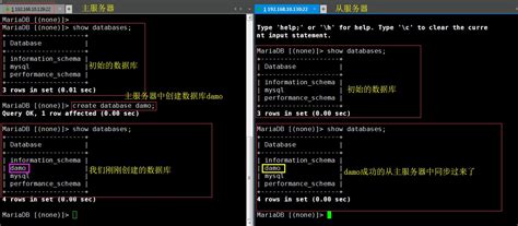 mysql主从复制 码上快乐