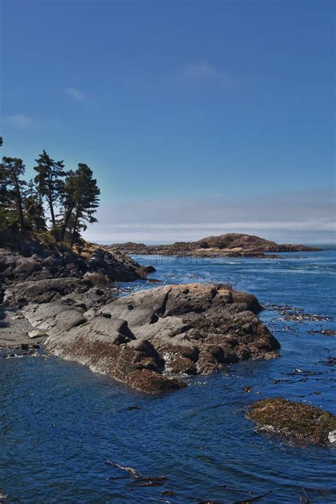 Shark Reef Sanctuary Coastal Ocean Views Lopez Island San Juan Islands