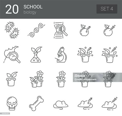 온라인 교육의 간단한 세트 관련 벡터 라인 아이콘 생물학과 식물학 아이콘을 나타냅니다 4 설정 0명에 대한 스톡 벡터 아트 및 기타 이미지 Istock