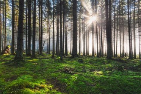 Світанок красиві картинки на робочий стіл