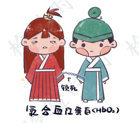 氧分压和氧饱和度：血气分析进阶版解读 Mmhg 曲线 变化