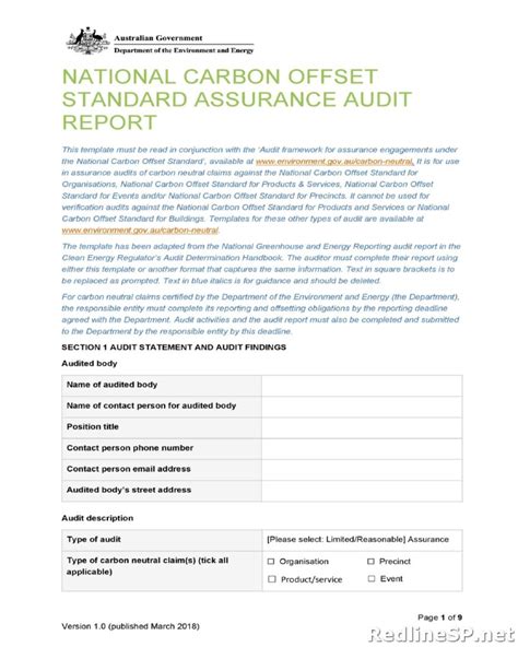 55 Amazing Audit Report Template RedlineSP