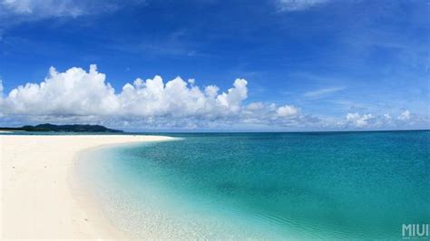 1216:python海象运算符 知乎 1216:python海象运算符 知乎