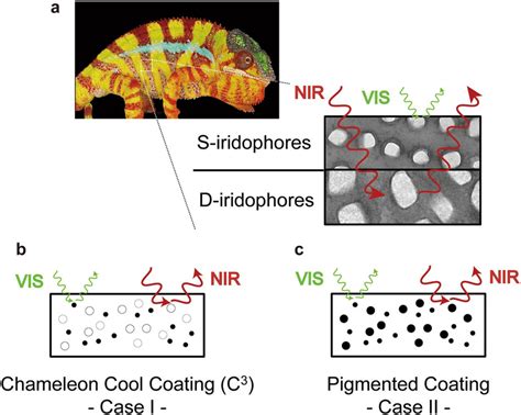 C 3 Concept A Schematic Of The Thermal Barrier In A Chameleon