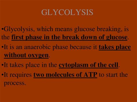 The Light Independent Reactions Ppt Download