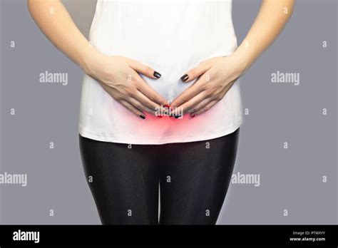 Lower Abdomen Female Anatomy