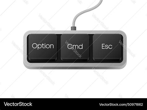 Option Cmd Esc Button Combination Computer Vector Image