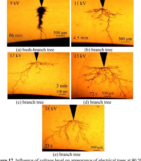 Electrical Treeing Behavior At High Temperature In Xlpe Cable