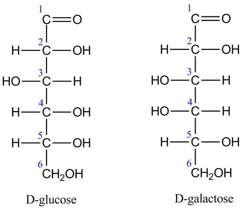 D Glucose Structure
