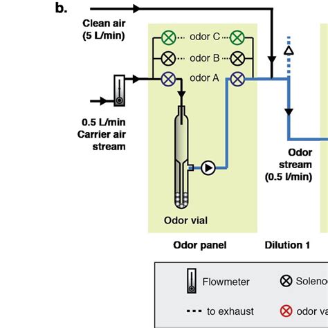 Schematic Of Odor Delivery System For Multiple Odors And Mixtures