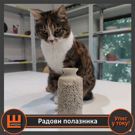 Бардак On Linkedin 🏺 Пријаве за курс су отворене а детаље можете