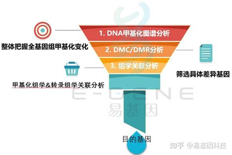 易基因｜dna甲基化研究的测序数据挖掘思路：干货分享 知乎