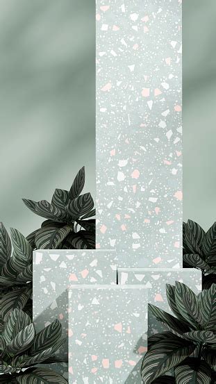 초상화의 빈 모형 녹색 테라조 연단 Calathea 분홍색 줄무늬 잎 3d 이미지 렌더링 0명에 대한 스톡 사진 및 기타 이미지 Istock