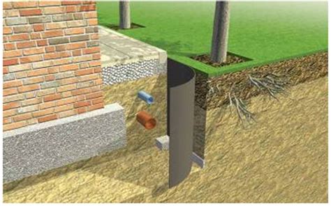 What Are Tree Root Barriers Best Protection ArborAeration