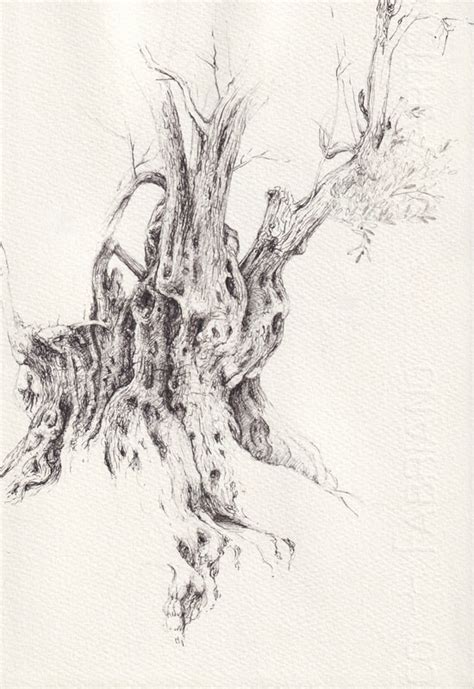 Greek Islands Jane Blundell Artist