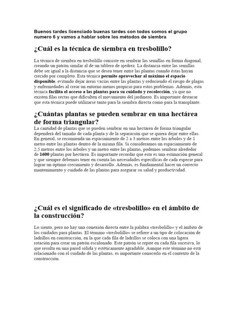 3 Bolillo Pdf Fertilizante Riego