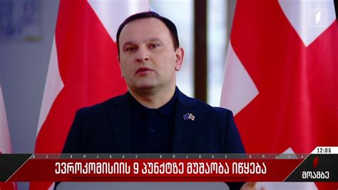 ევროკომისიის ცხრა პუნქტზე მუშაობა იწყება Youtube