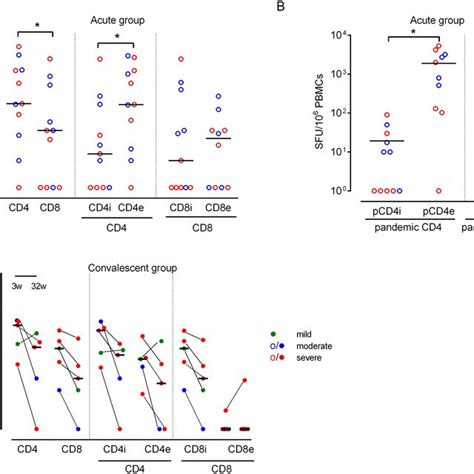 T Cell Responses Measured By Ifn γ Elispot Assay After Stimulation With Download Scientific