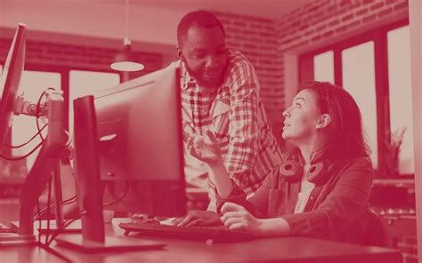 Domain Transfers Xneelo