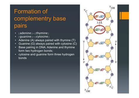 Unit I Bio Organic Chemistry Pdf