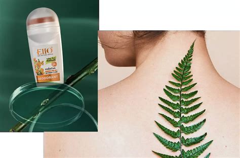 درباره الیو ؛ محصولات بهداشتی گیاهی برگرفته از طبیعت Elio