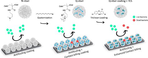 Surface Antimicrobial Coating At Renato Shryock Blog