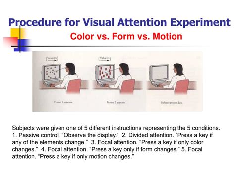 Ppt Cortical Functions And Their Measurement Vision As A Prototype Powerpoint Presentation