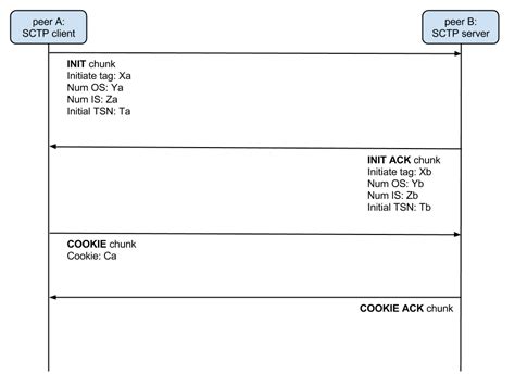 SCTP Association Initialisation Petanode