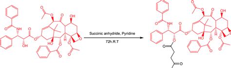 Process Of Modifi Cation Of Ptx With Succinic Anhydride Download Scientific Diagram