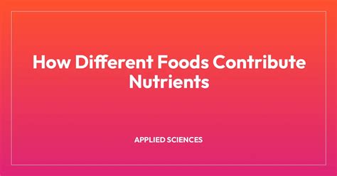 How Different Foods Contribute Nutrients • Bns Institute