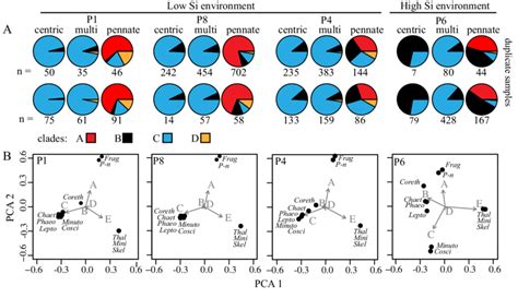 Variability In The Sit Genes Transcribed By A Major Diatom Lineages