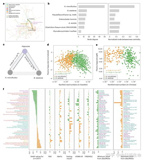 Nat Med 复旦大学吴浩团队宏基因组 代谢组双剑合璧揭示菌群 代谢物调控糖尿病新机制 知乎