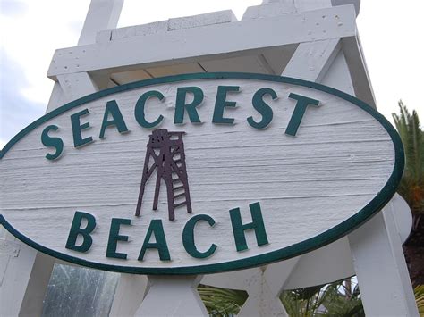 Paddleocr Unveil The Power Of Optical Character Recognition