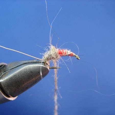 How To Tie Perfect Scud Fly Pattern Thinskin Tailwater Nymph