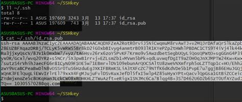 使用github（一）：添加sshkey 知乎