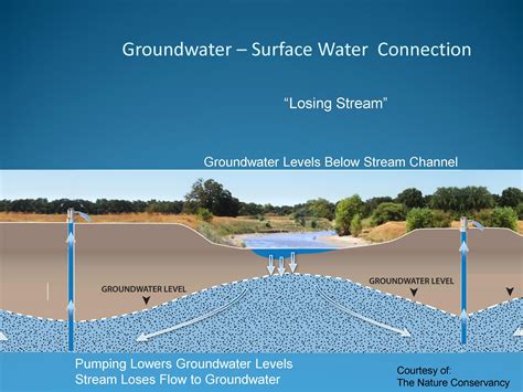 Groundwater Problems And Prospects Part 7 Groundwater Dependent Ecosystems And The Groundwater
