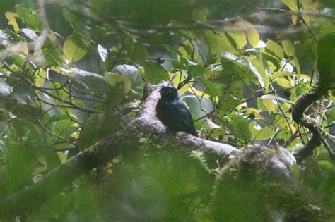 Birdseye Photography Review Photos