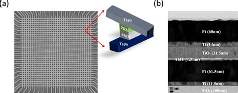 memristor configuration a top view sem image of the fabricated