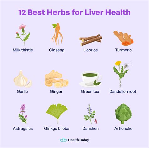 12 Amazing Herbs Good For Liver Benefits Side Effects And More