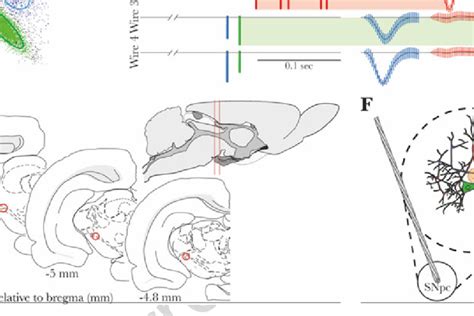 Example Of A Canonical Tetrode Recording And Spike Sorting Of Single